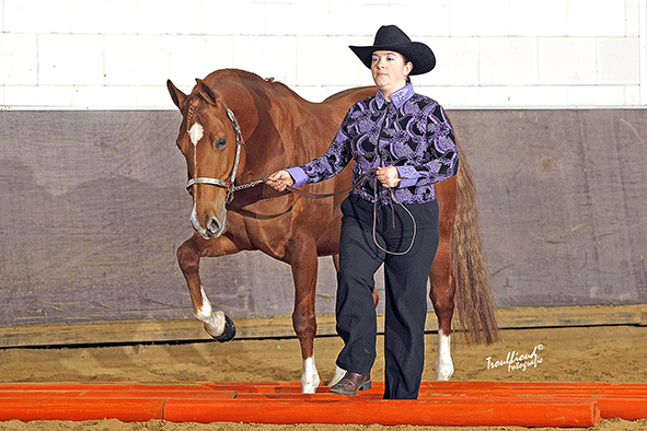 In Hand Trail | WRAN.nl