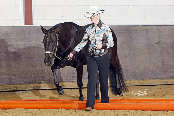 In Hand Trail | WRAN.nl