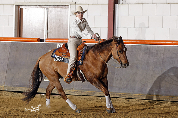 In Hand Trail | WRAN.nl